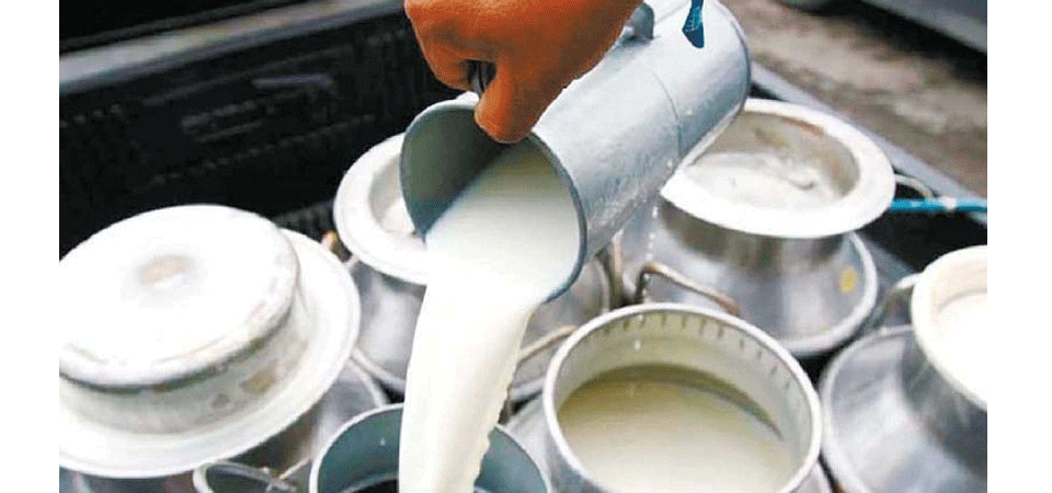World Milk Day, 2023 being observed - जनधारणा